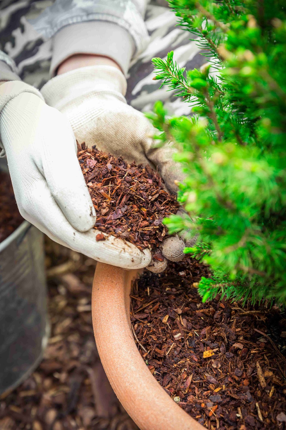 Organic Mulch – 8 Best Types for Your Yard – GREEN ARBOR LANDSCAPING