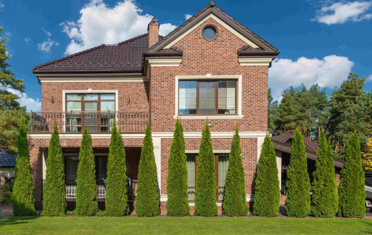 10 Best Trees for Front Yard – Suit All Landscaping Garden Style ...
