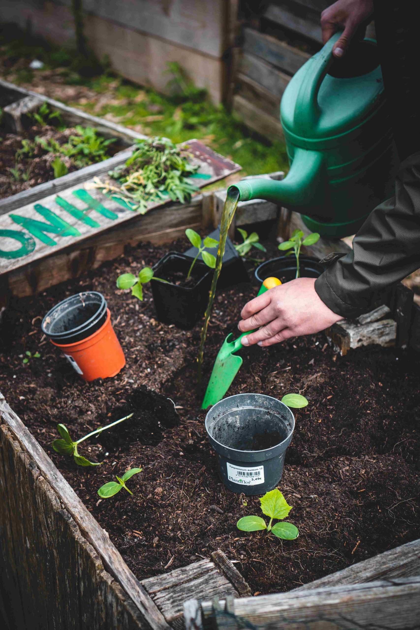 Types of Mulches: 7 Types of Mulch Are Best for Landscaping? – GREEN ...